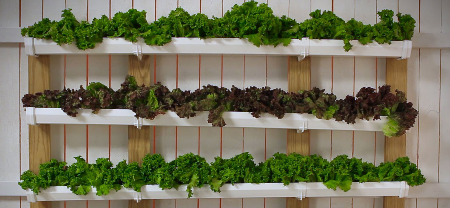 Il mio orto verticale – Il Giardino di Bama